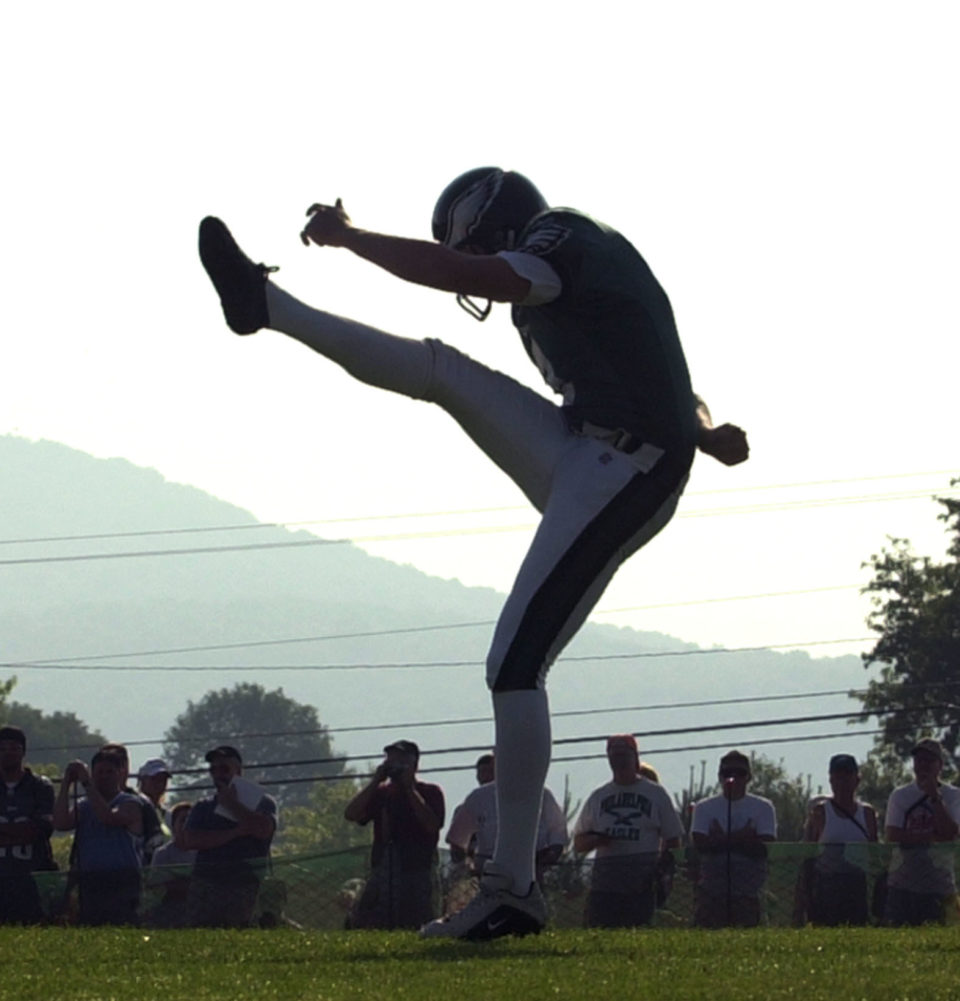 Stephen Cheek - The Trust